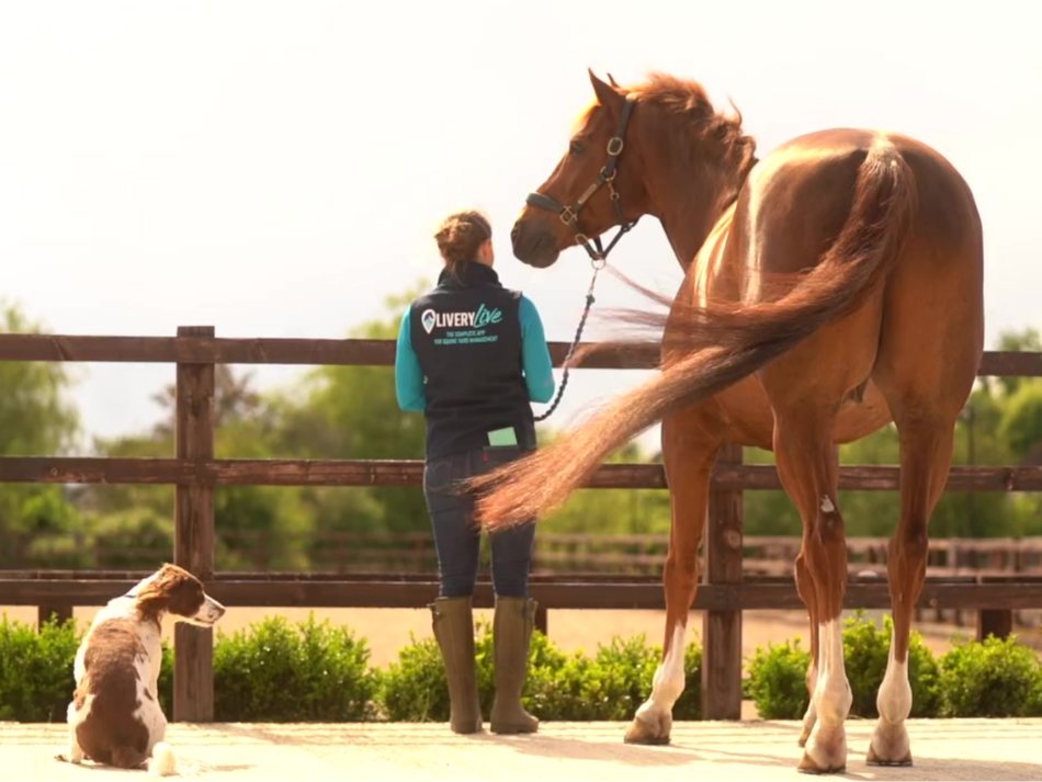 News – Livery Live - The complete app for equine yard management